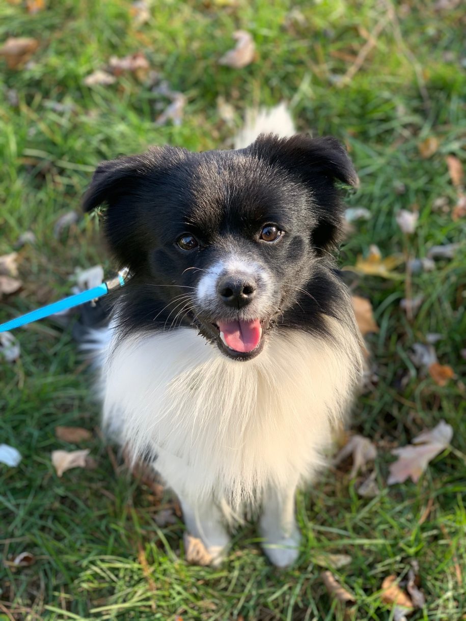 The Hansen Family - Trinity at 200