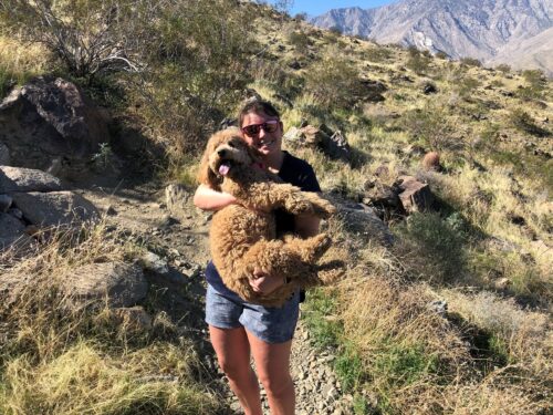 Alumni Panel Events - English