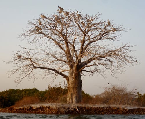 Spotlight on Study Away - Language and Culture Studies