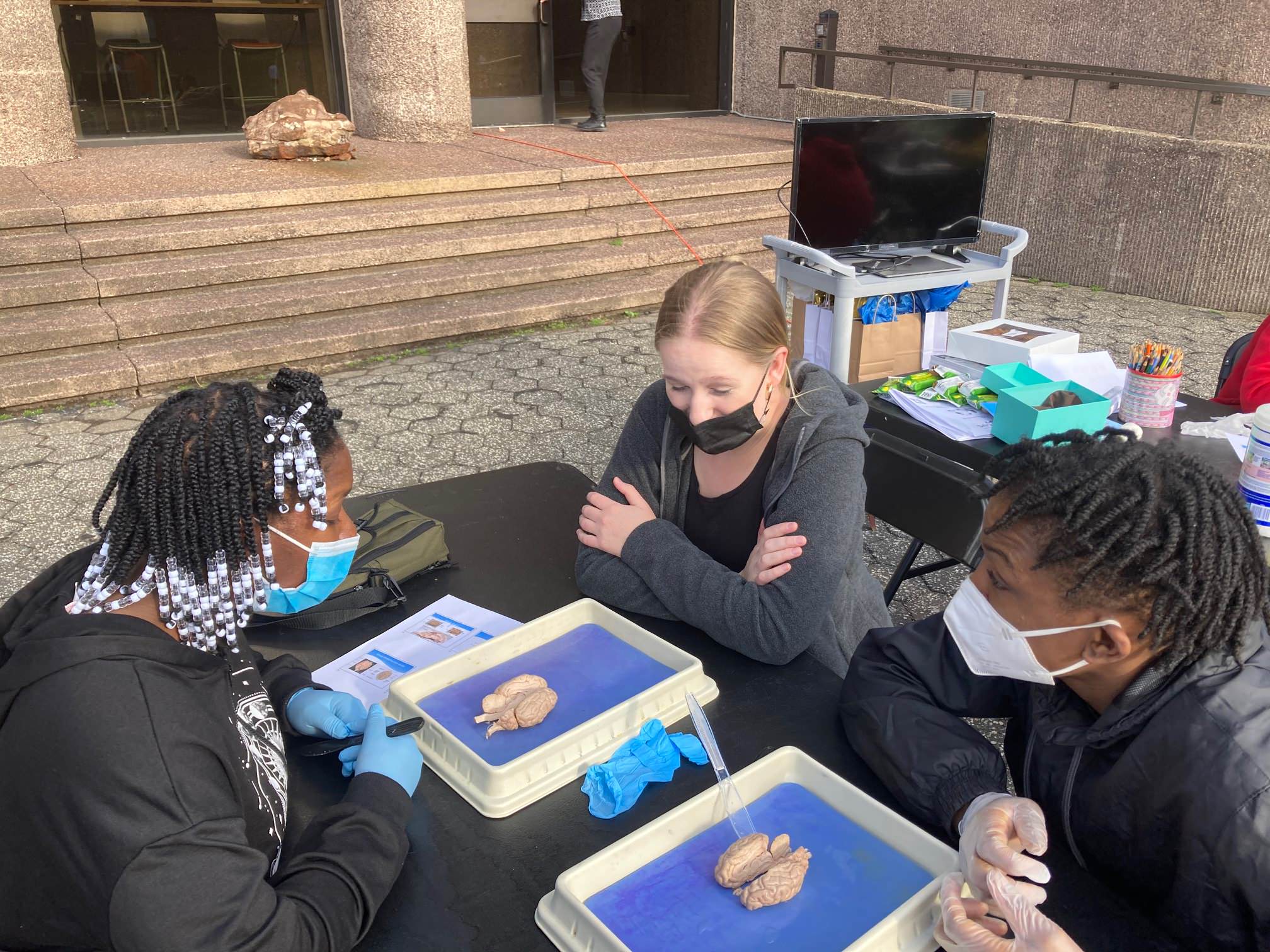 Neuroscience Club - Neuroscience