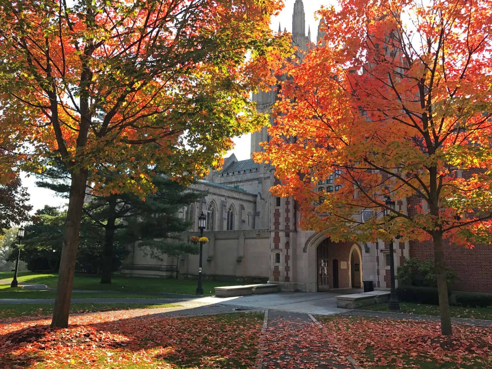 Distinguished Group of Seniors Named President’s Fellows for 2019-2020 ...