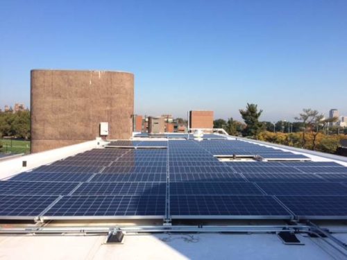 Trinity Faculty and Students Reflect on CT Forum’s ‘Climate Crisis ...