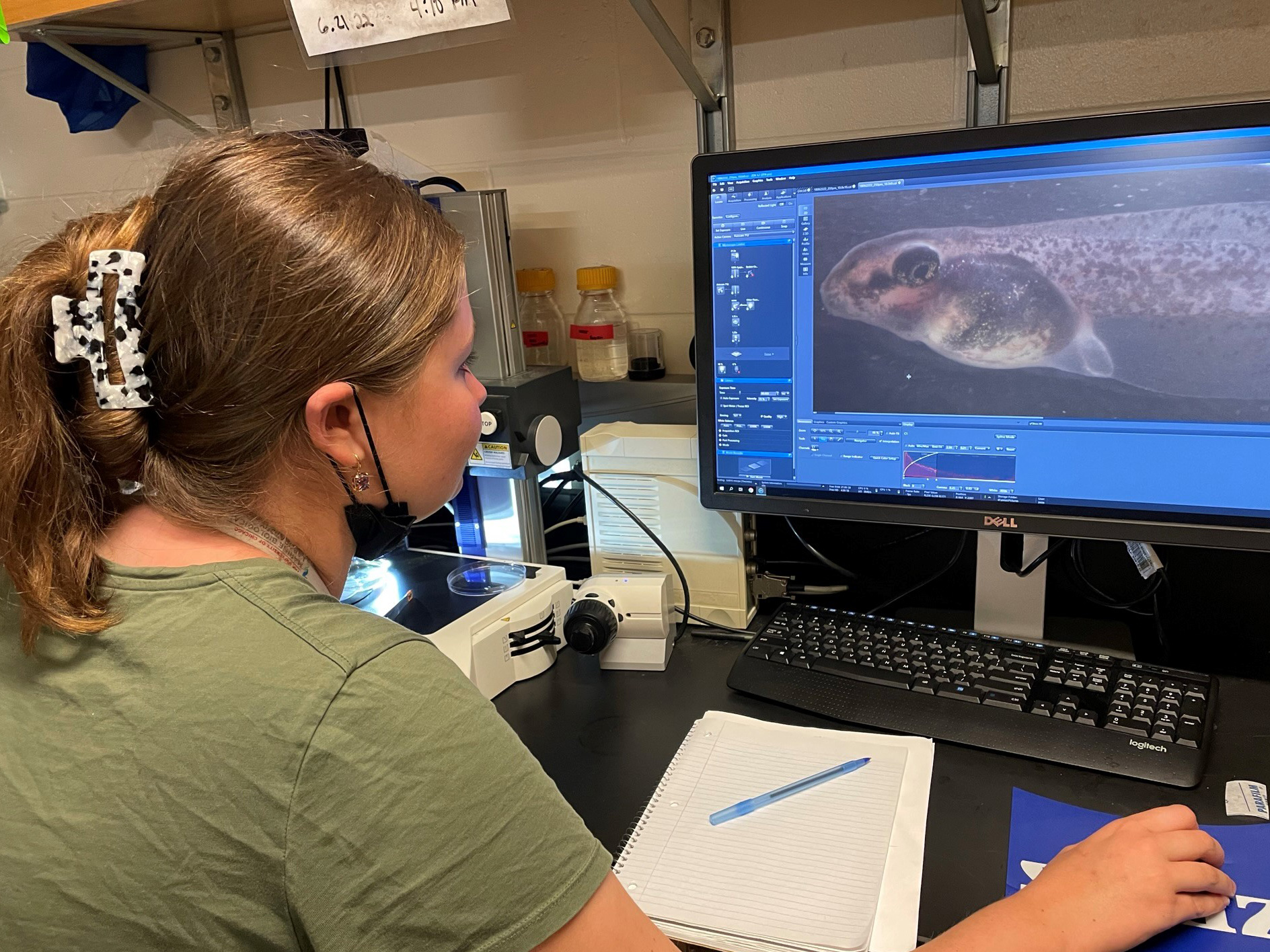 Neuroscience Students Get ‘Once-in-a-Lifetime Opportunity’ at Marine Biological Laboratory ...
