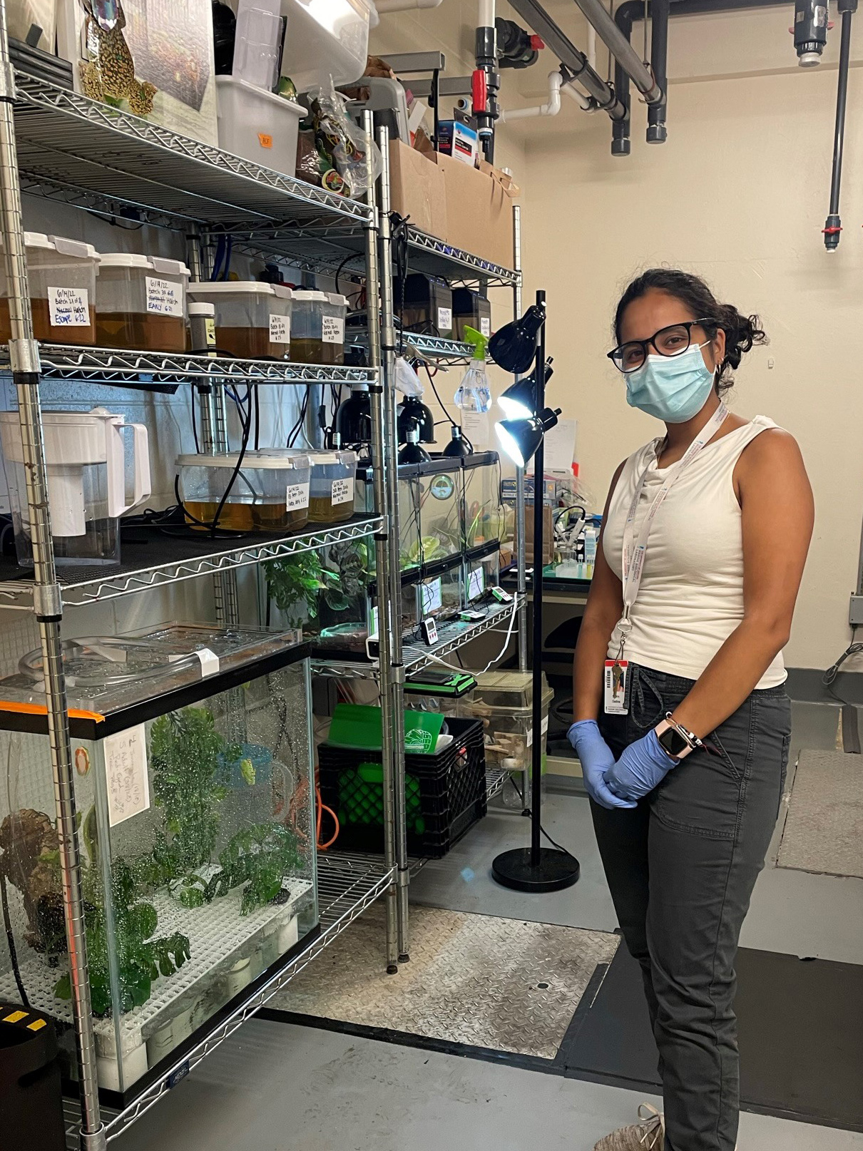 Neuroscience Students Get ‘Once-in-a-Lifetime Opportunity’ at Marine Biological Laboratory ...