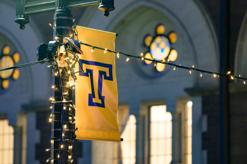 Photo Gallery: Lighting the Long Walk | Trinity College