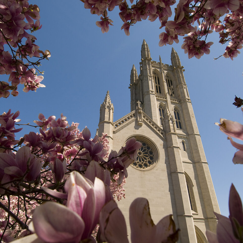 What Happened to 2023? | Trinity College