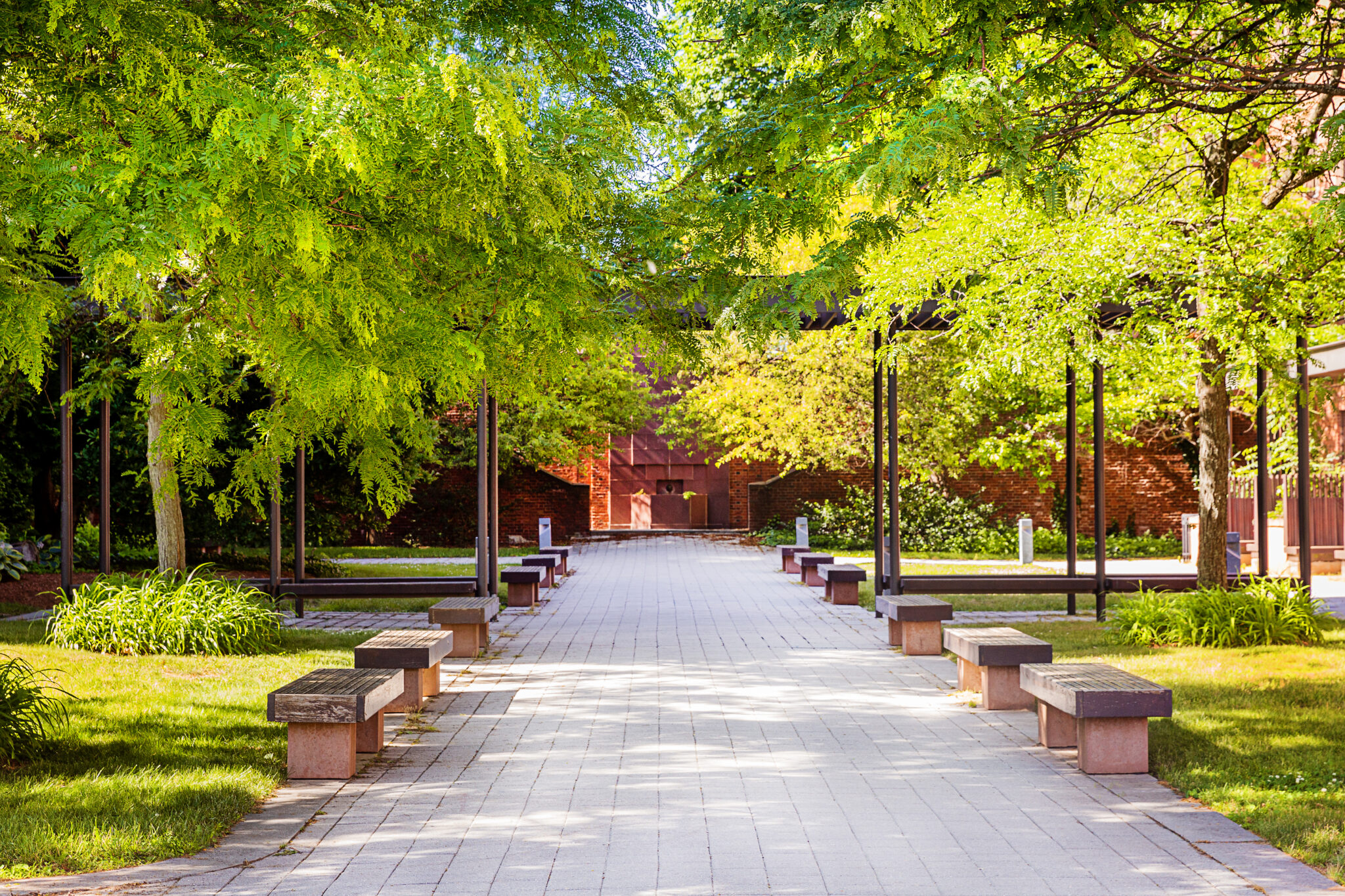 The Hundred Acre Wood: Trinity College Campus is Designated an ...
