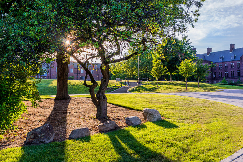 The Hundred Acre Wood: Trinity College Campus is Designated an ...