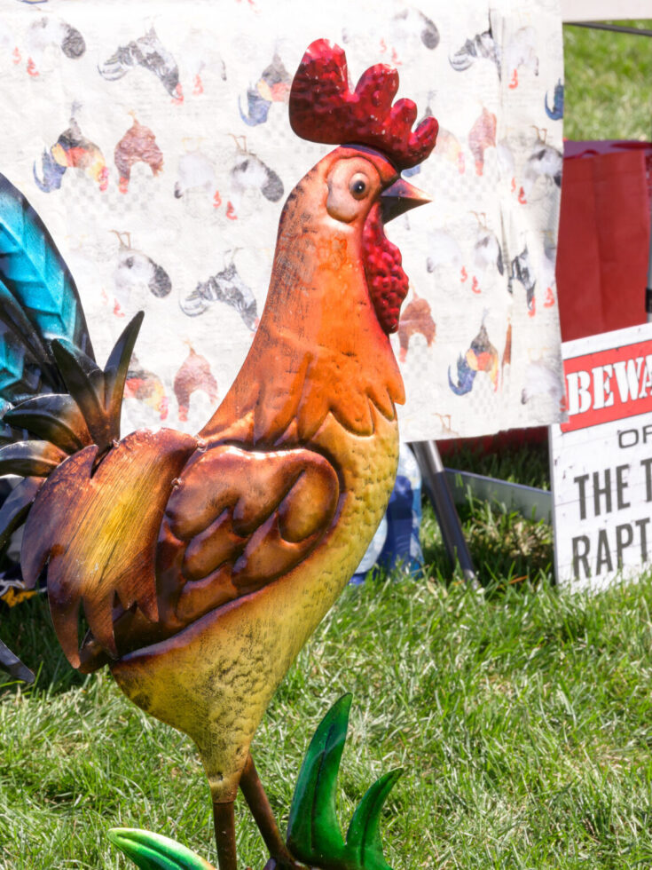 Photo Gallery: The Bantam's Many Forms | Trinity College