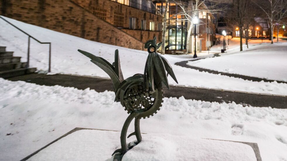 Photo Gallery: The Bantam's Many Forms | Trinity College