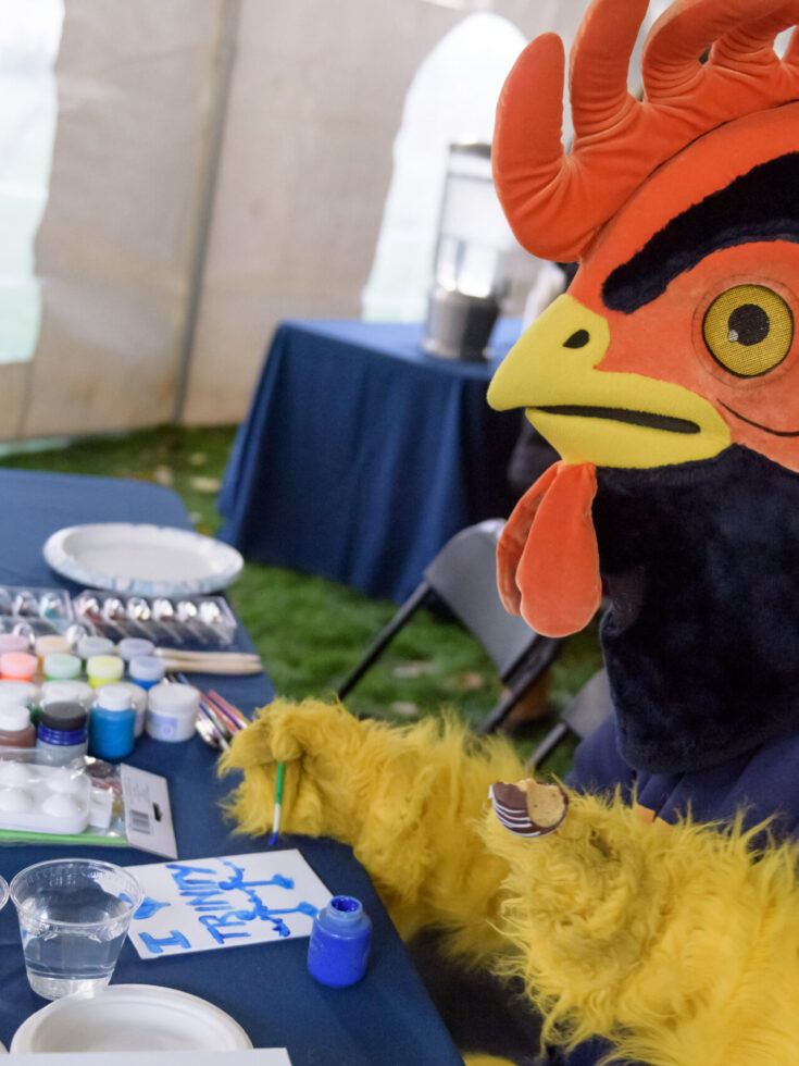 Photo Gallery: The Bantam's Many Forms | Trinity College