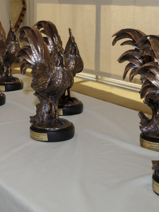Photo Gallery: The Bantam's Many Forms | Trinity College