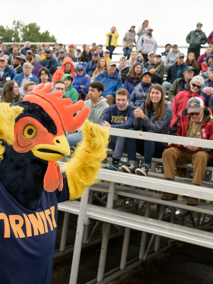 Photo Gallery: The Bantam's Many Forms | Trinity College