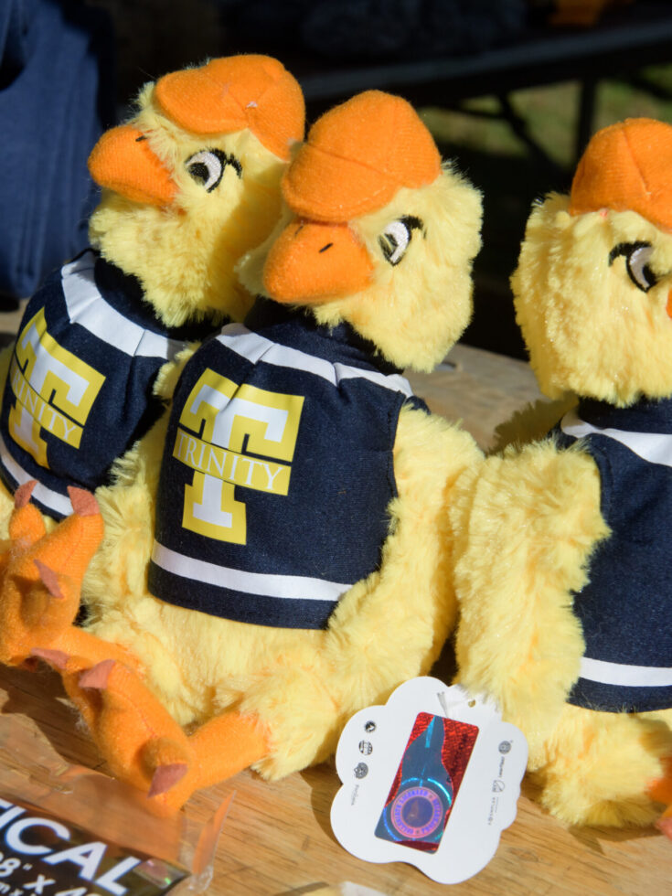 Photo Gallery: The Bantam's Many Forms | Trinity College