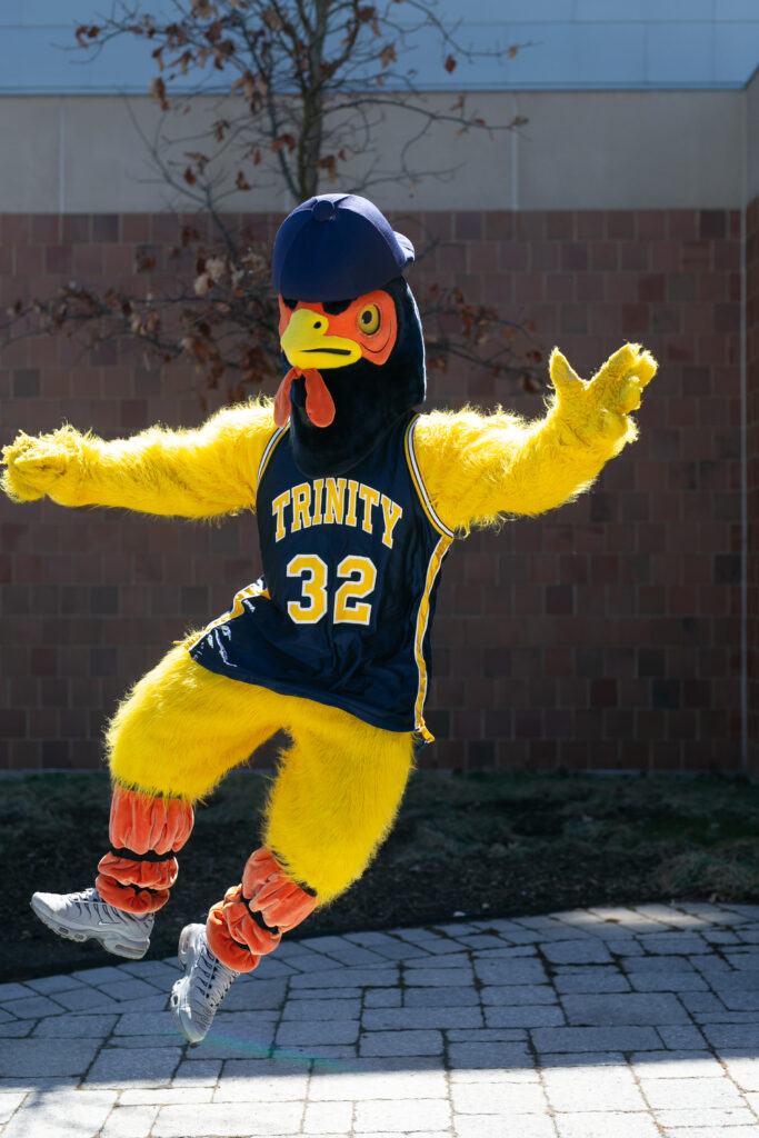 Photo Gallery: The Bantam's Many Forms | Trinity College