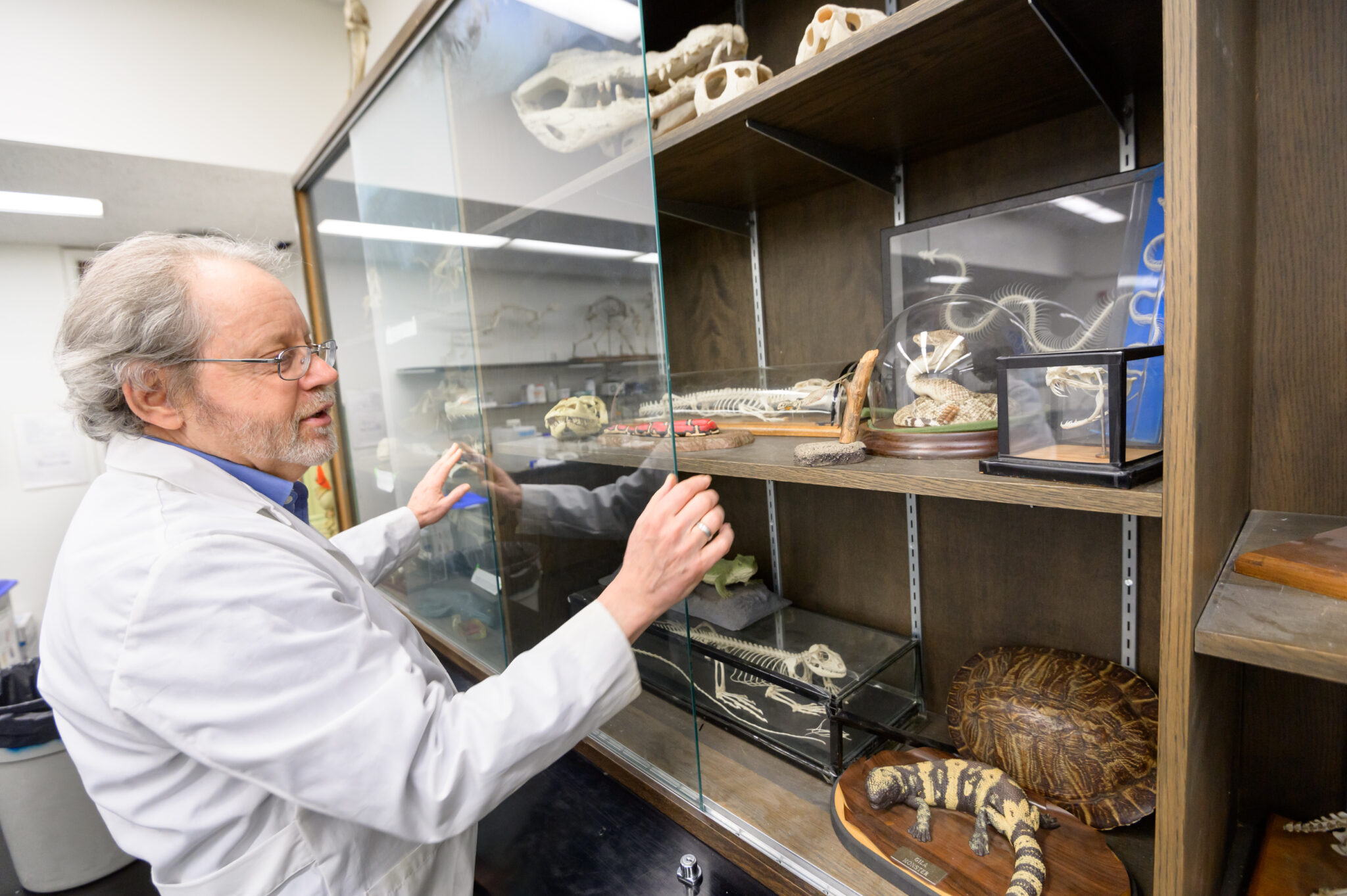 Skeleton Crew: Professor Helps Preserve Collection for Future Scholars ...