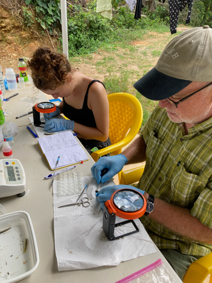Thomas S. Johnson Distinguished Professor of Biology Kent Dunlap Talks ...