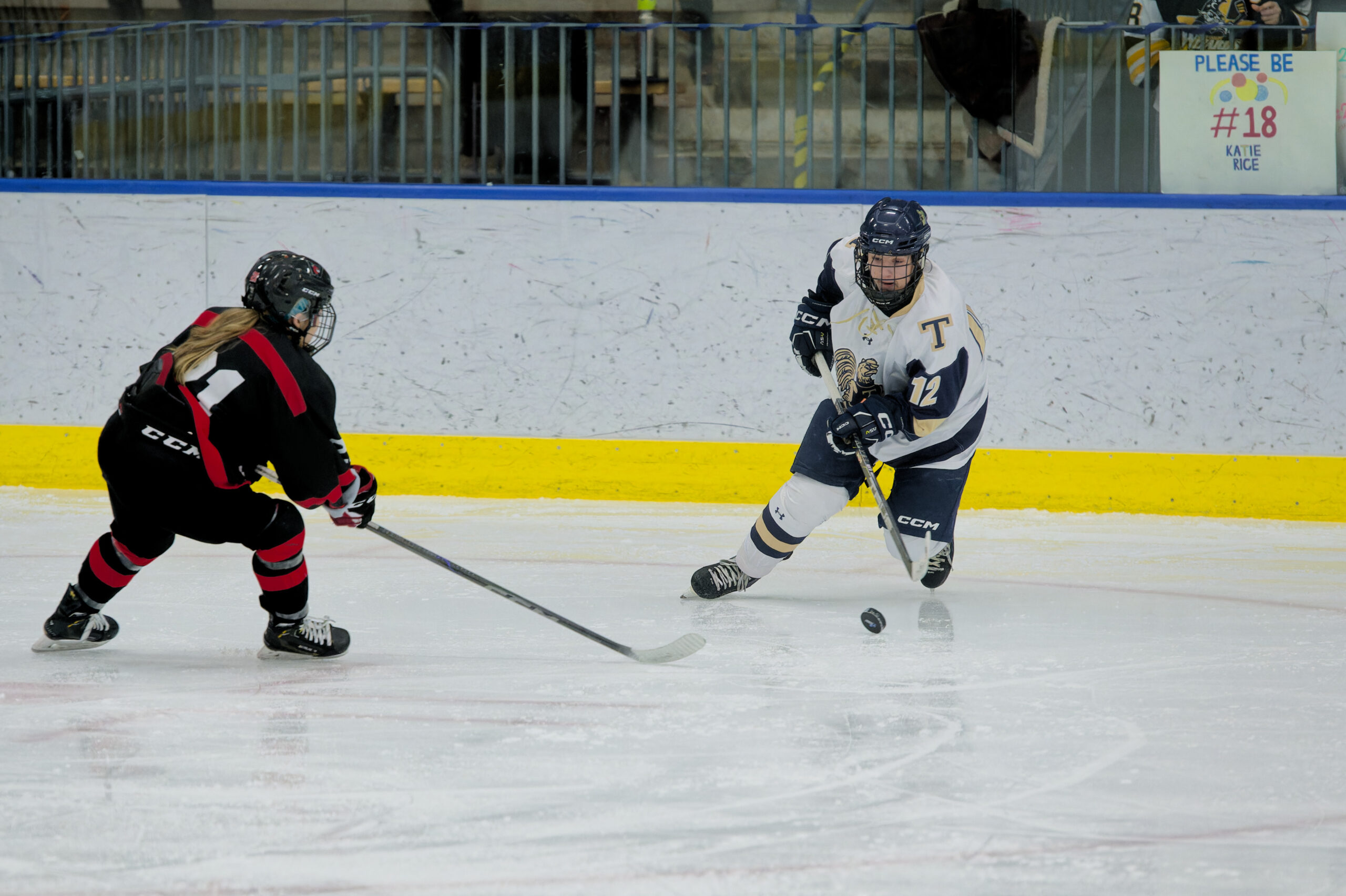 Trinity Women’s Ice Hockey Student-Athlete to Compete in Olympics ...